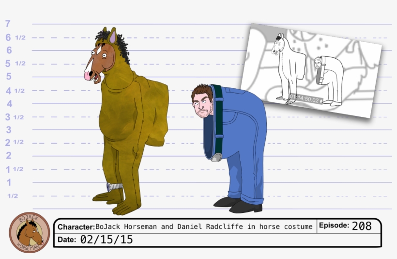 Bojack Horseman - Bojack Horseman Model Sheet - 1280x816 PNG Download ...
