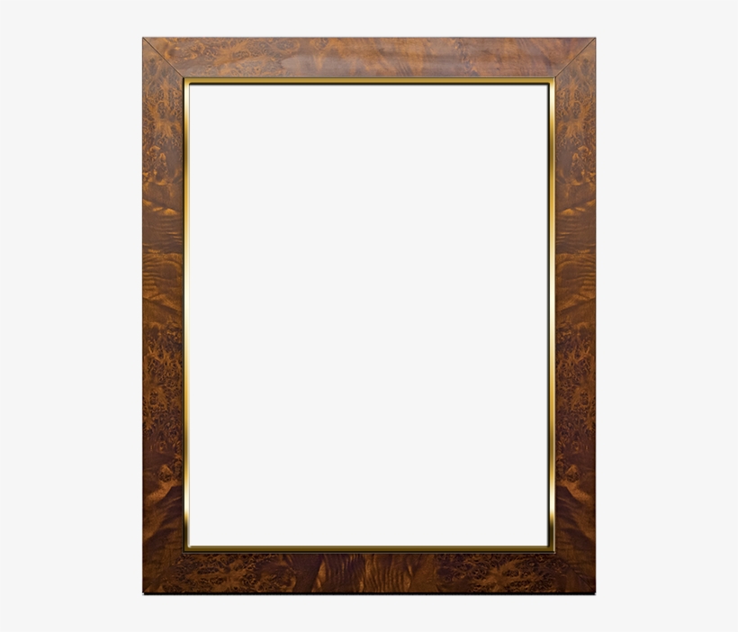 Picture Frame - 506x622 PNG Download - PNGkit