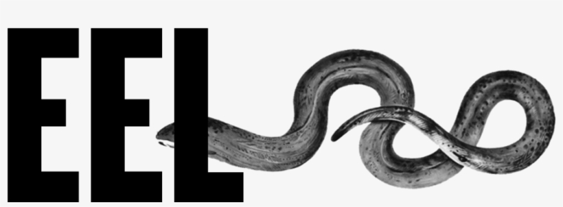 Eel Logo Large - 1000x388 PNG Download - PNGkit