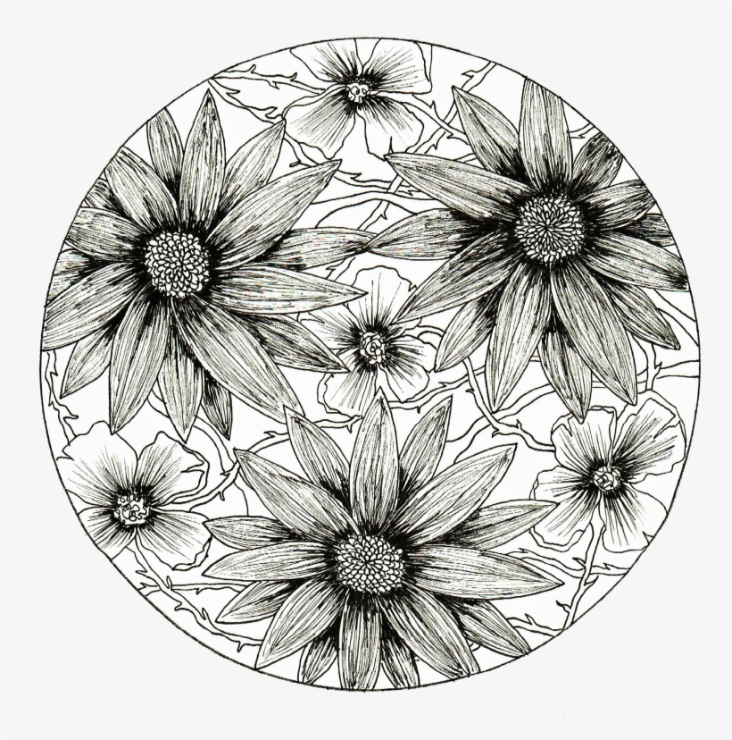 Kasmira Demyan - Line Art - 2012x2009 PNG Download - PNGkit