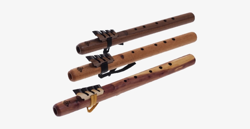 Recorder - 480x365 PNG Download - PNGkit