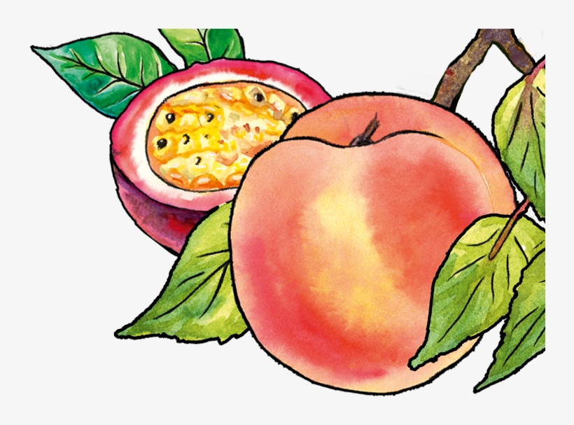 Onken Naked Peach & Passion Fruit - Mcintosh - 852x529 PNG Download ...