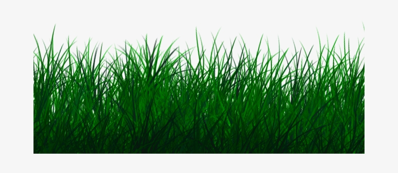 Picsart Editing Grass Png - Grass Png Seamless - 682x290 PNG Download ...