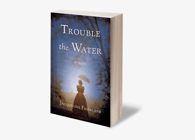 Trouble The Water By Jacqueline Friedland - Trouble The Water [book] - 435x554 PNG Download - PNGkit