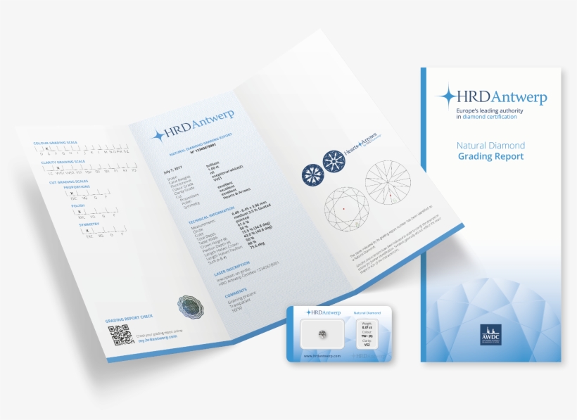 Hrd Certificate Full Form - 4961x3508 PNG Download - PNGkit