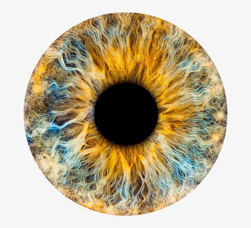 Eyes Iris Reference - 666x663 PNG Download - PNGkit