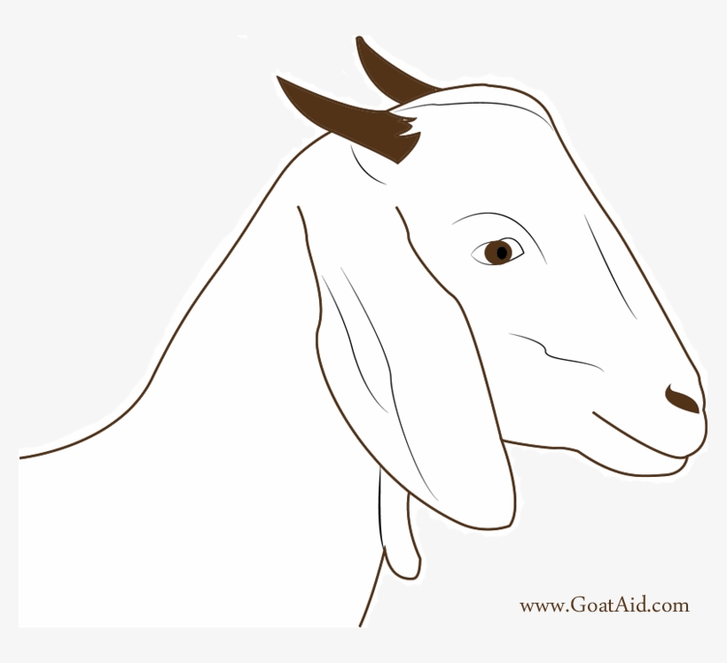 Working Animal - 777x668 PNG Download - PNGkit