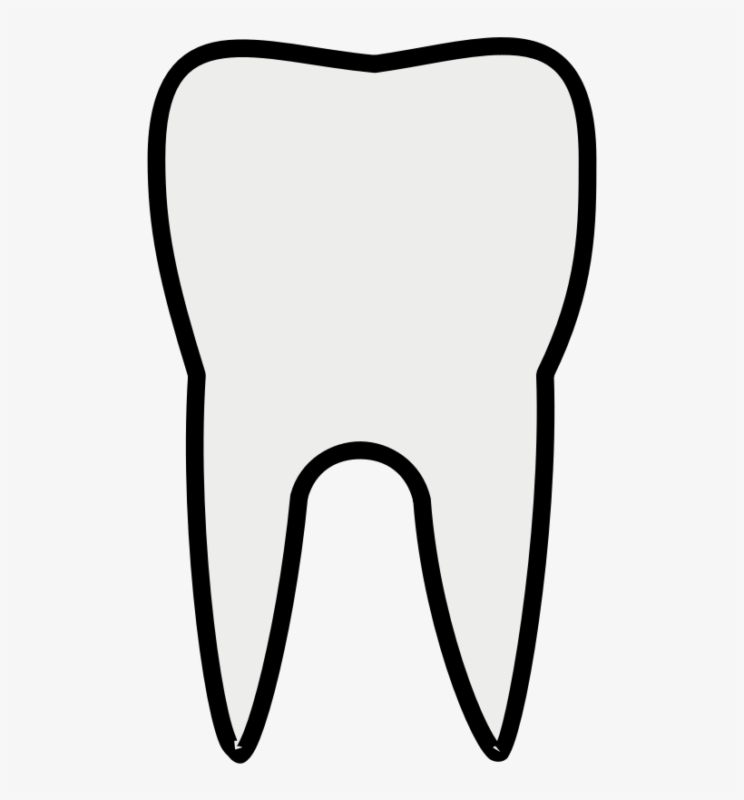 Tooth Outline Png