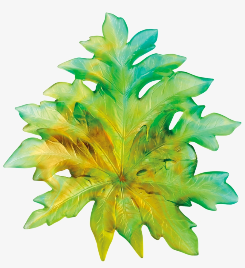 Applique Bornéo Emilio Robba - 1000x977 PNG Download - PNGkit