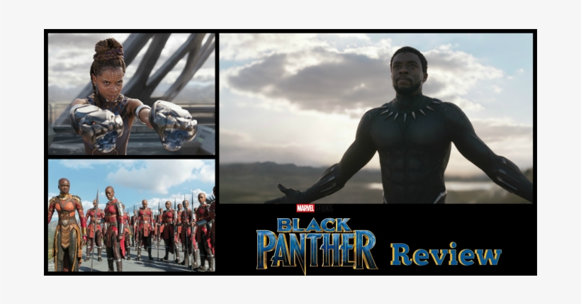 Download Transparent Black Panther - Dry Suit - PNGkit