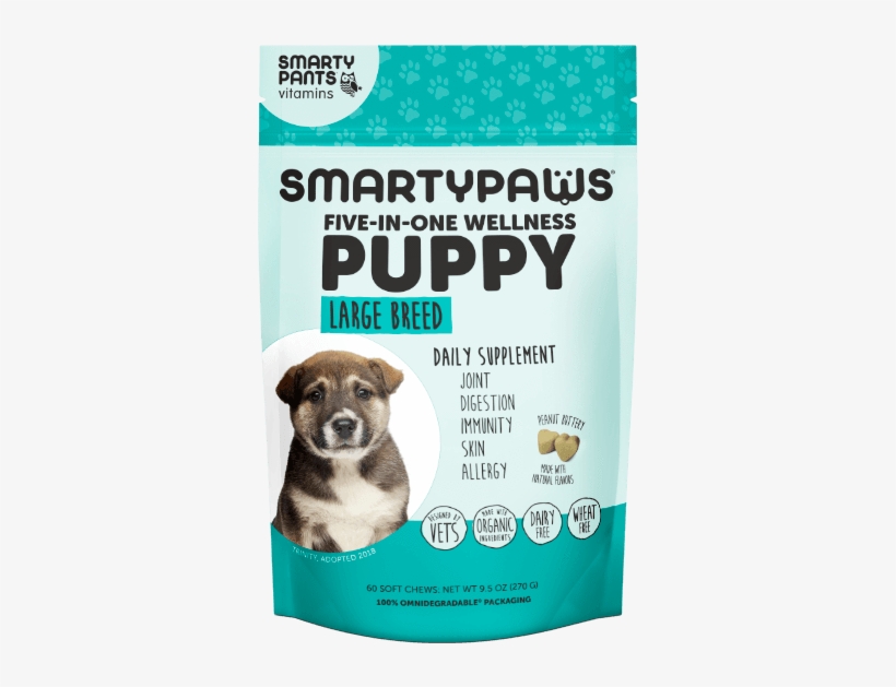 Smartypaws Puppy Large Breed - Smarty Pants - 440x587 PNG Download - PNGkit