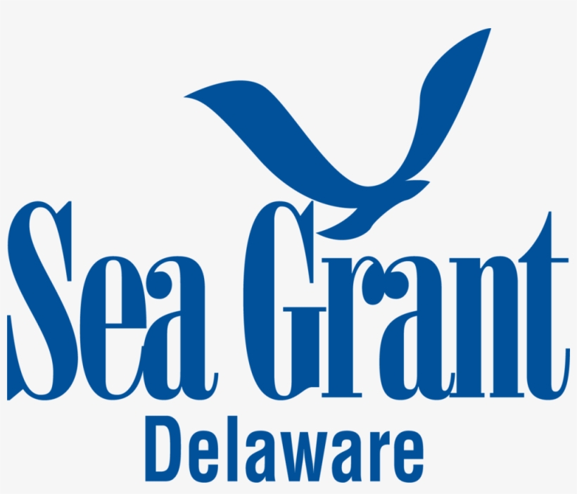 Dsg-1color - Delaware Sea Grant - 1000x808 PNG Download - PNGkit