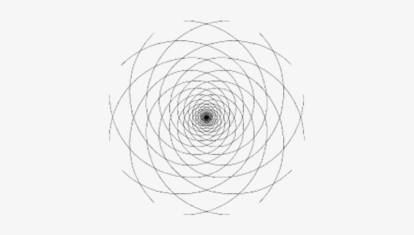 Download Transparent Fibonacci Vector Sunflower Svg Download ...