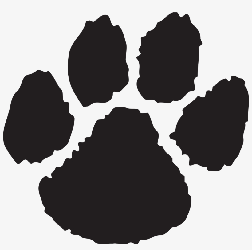 Wildcat Paw Print Photos - Wildcat Paw Print Png - 1000x945 PNG ...