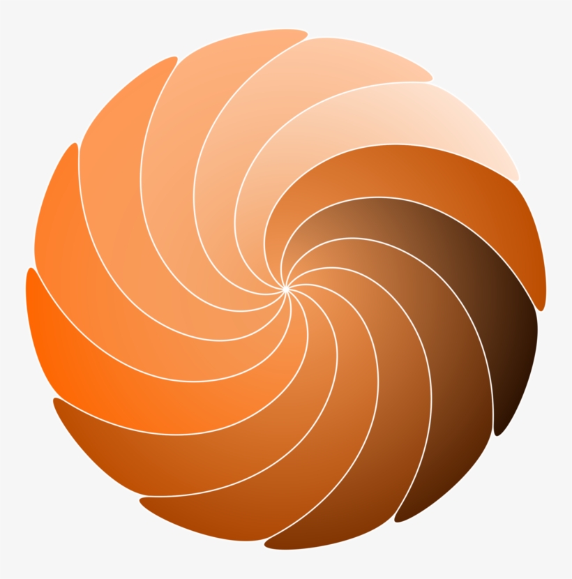 Golden Spiral Shape Drawing Spiral Galaxy - Spiral Shapes - 750x750 PNG ...