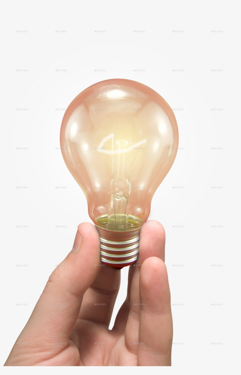 Image Preview Set/bulb 1 - Hand Light Bulb Png - 1809x2725 PNG Download ...