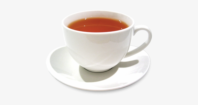Hot Tea - 500x540 PNG Download - PNGkit