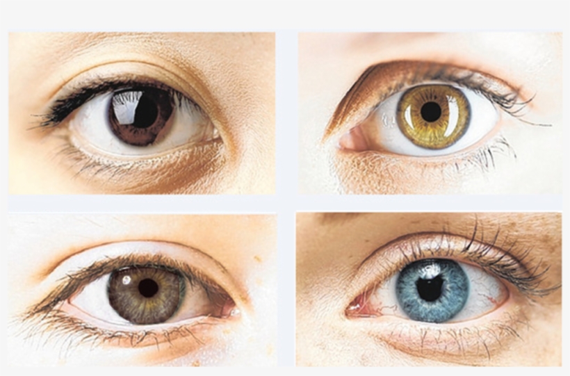 All Natural, Organic Color Changing Eye Drop - Icolour Eye Drops Before ...