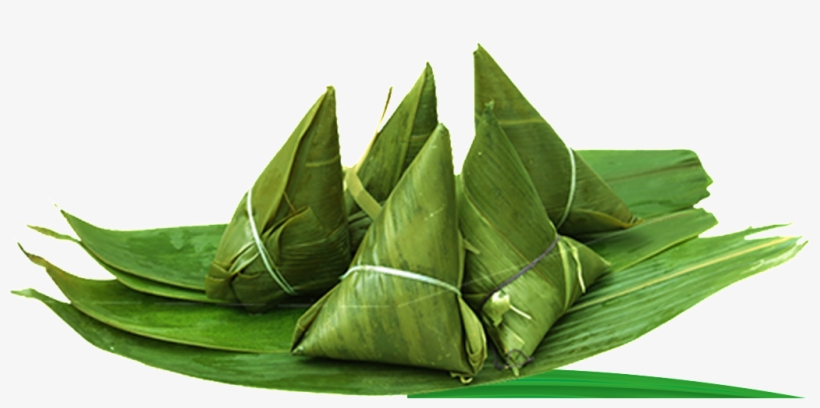 Beautiful Dumplings Leaves Hd Vector - Food Suman Transparent ...