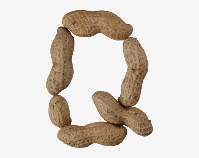 Peanuts Font - Font - 595x595 PNG Download - PNGkit