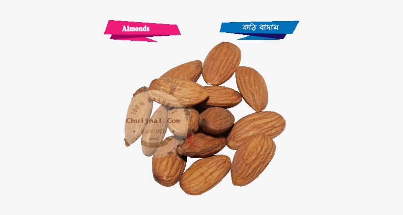 Almonds Kath Badam 3 - Almond - 400x400 PNG Download - PNGkit