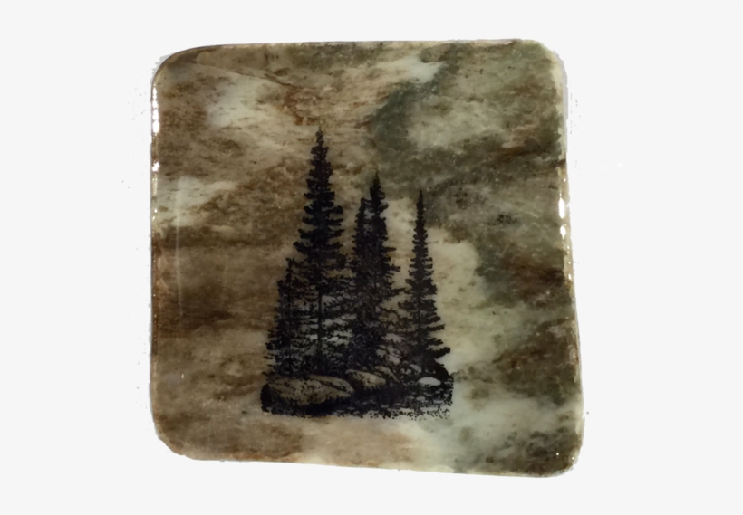 Small Group Of Trees - Grove - 560x560 PNG Download - PNGkit