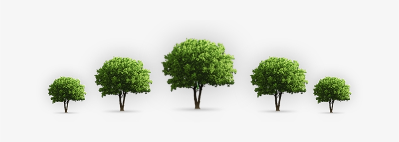 Each One Plant One Tree Essay - Plant A Tree Png - 784x212 PNG Download ...