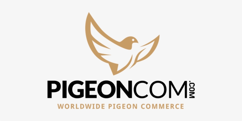 Latest Posts - Emblem - 500x332 PNG Download - PNGkit