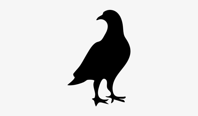 Pigeon Bird Shape Vector - Pigeon Icon - 400x400 PNG Download - PNGkit