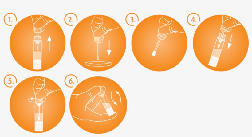 Collect Sample - Wheel - 1024x530 PNG Download - PNGkit