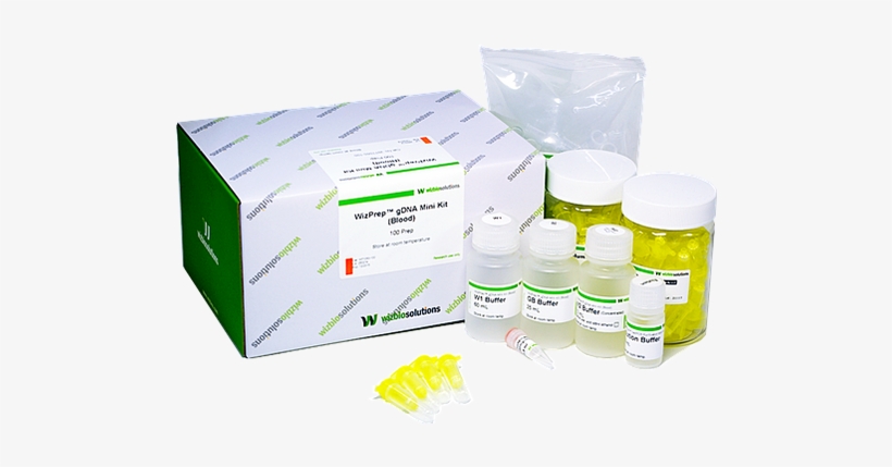 Provides A Fast And Simple Method To Isolate Genomic - Box - 498x349 ...