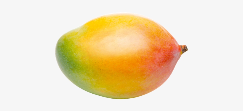 Download Transparent Yellow Mango Png Clip Art Library Library - Mango ...