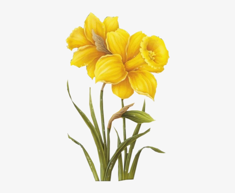 Download Transparent Yellow Flower Transparent - PNGkit