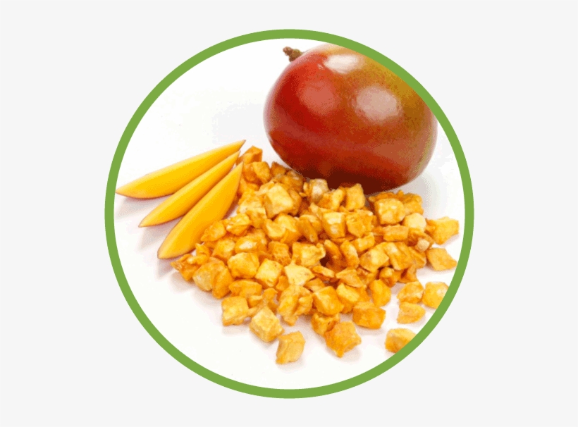 Mango Circle Mango Md Circle - Individual Quick Freezing - 562x562 PNG ...