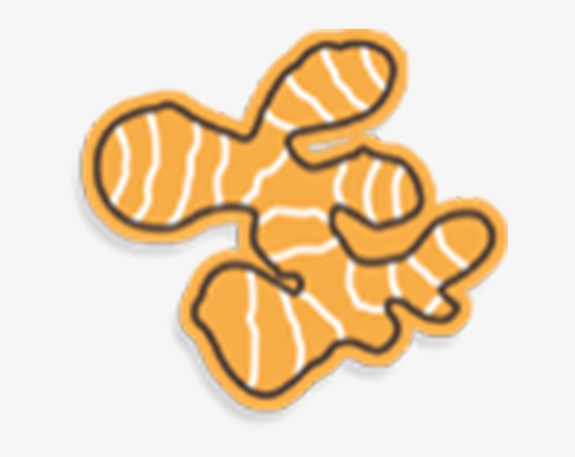 Ginger - Monkey - 775x807 PNG Download - PNGkit