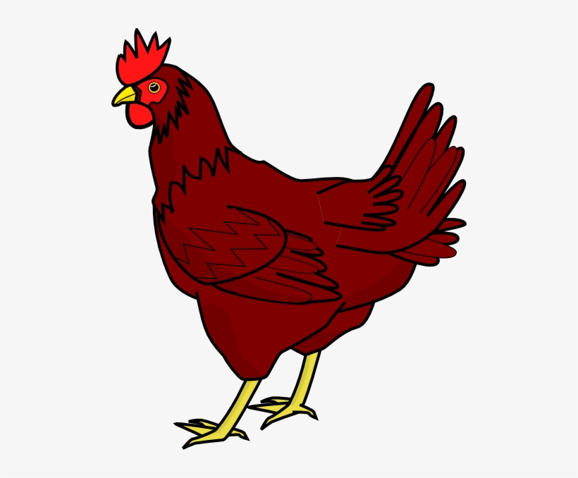 Little Red Hen Clipart - Chicken Clipart - 504x598 PNG Download - PNGkit