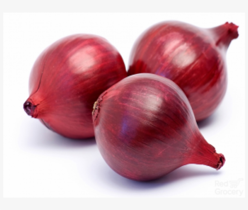 Onion Download
