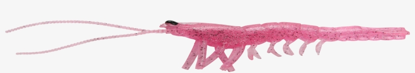 Download Transparent 3d Shrimp - Insect - PNGkit