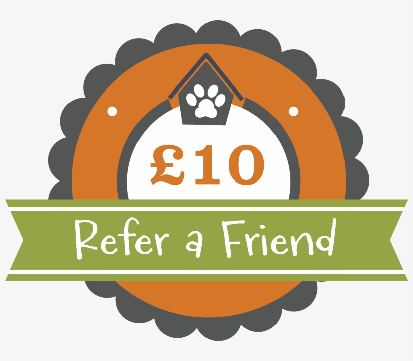 Refer A Friend Offer - Code - 800x638 PNG Download - PNGkit