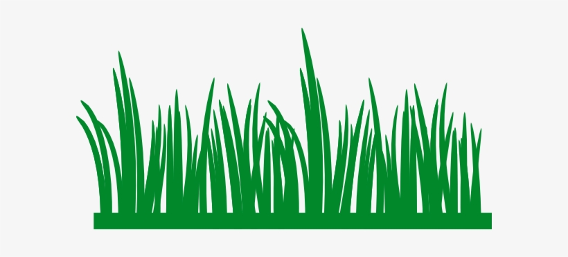 Grass Line Clip Art - 600x291 PNG Download - PNGkit