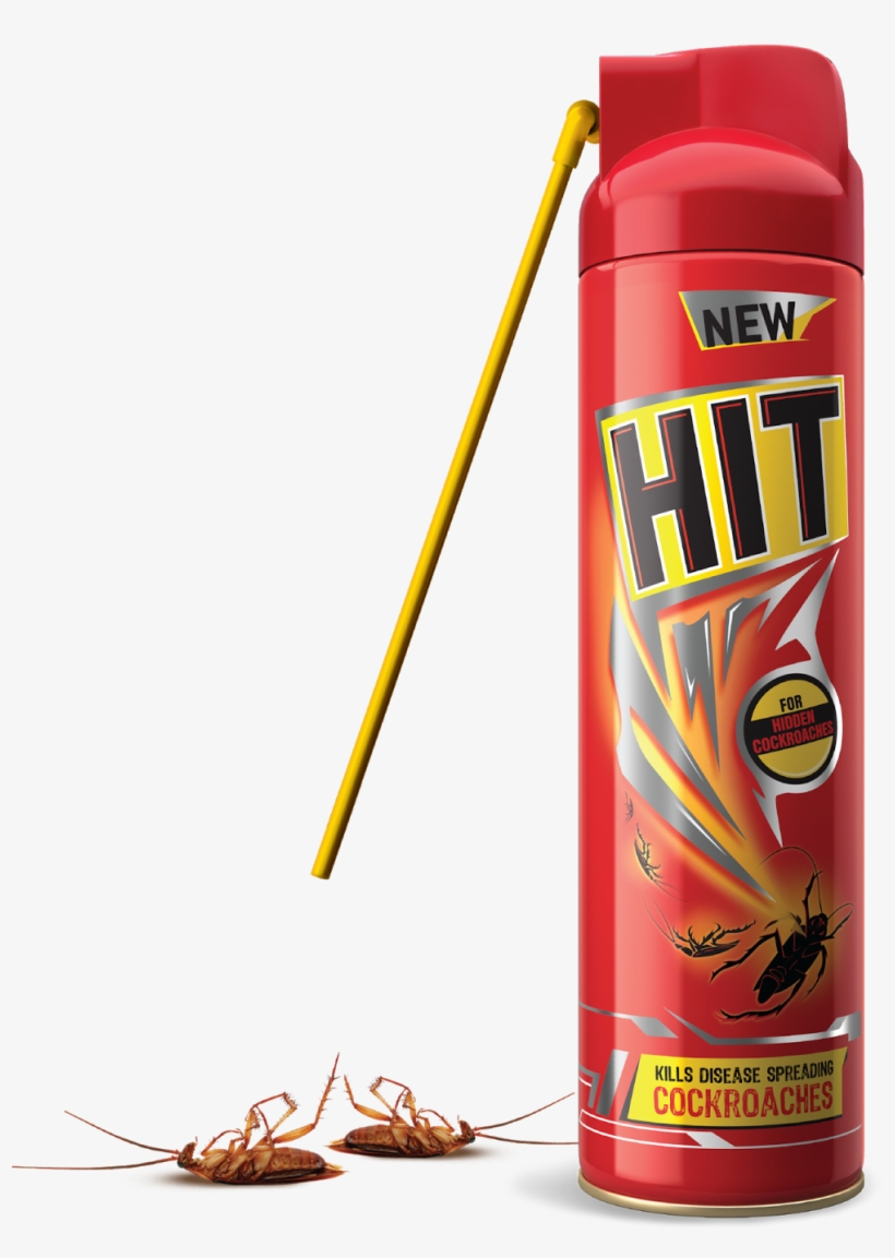 It's Summer Time Again - Hit Red Kills Hidden Cockroaches 625ml ...