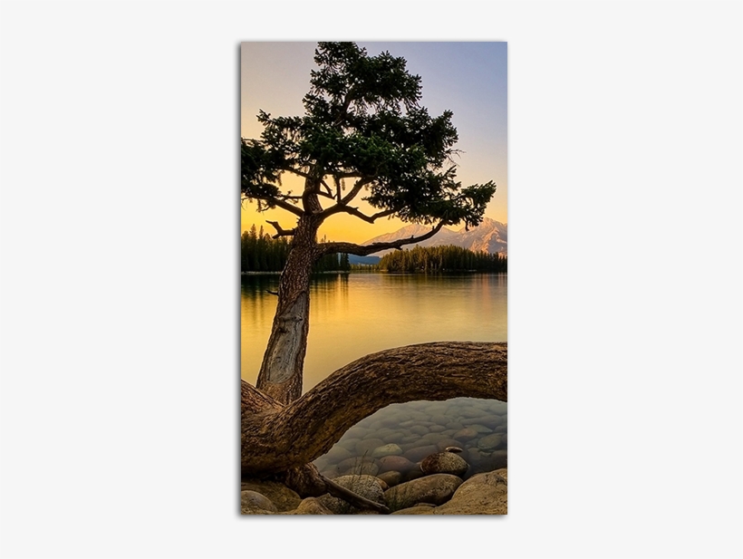 Natural Beauty Mobile Wallpaper - Jasper - 485x550 PNG Download - PNGkit