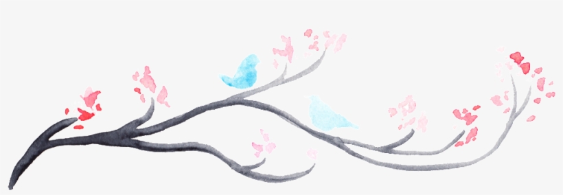 Transparent Ornamental For Watercolor Birds And Flowers - Flower ...