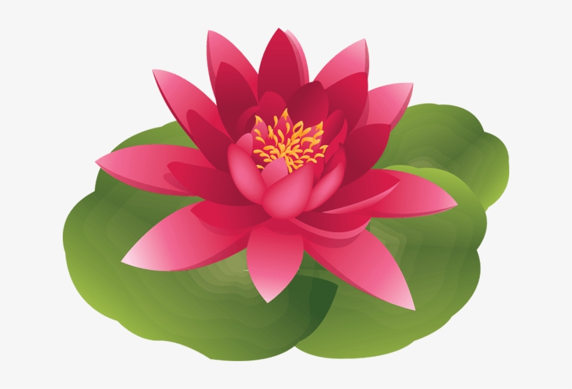 Lilies Clipart Free