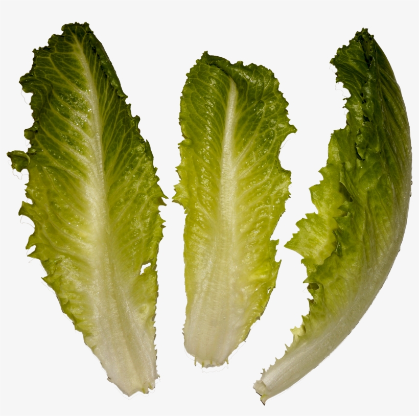 Cosmopolitan Salad - 3088x2906 PNG Download - PNGkit