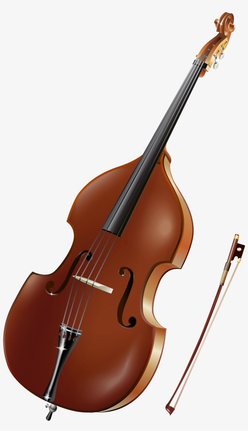 Double Bass Png Clipart - Double Bass Clipart - 2957x5000 PNG Download ...