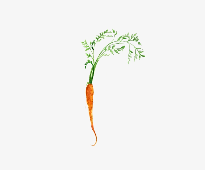 123478 600 - 426x600 PNG Download - PNGkit