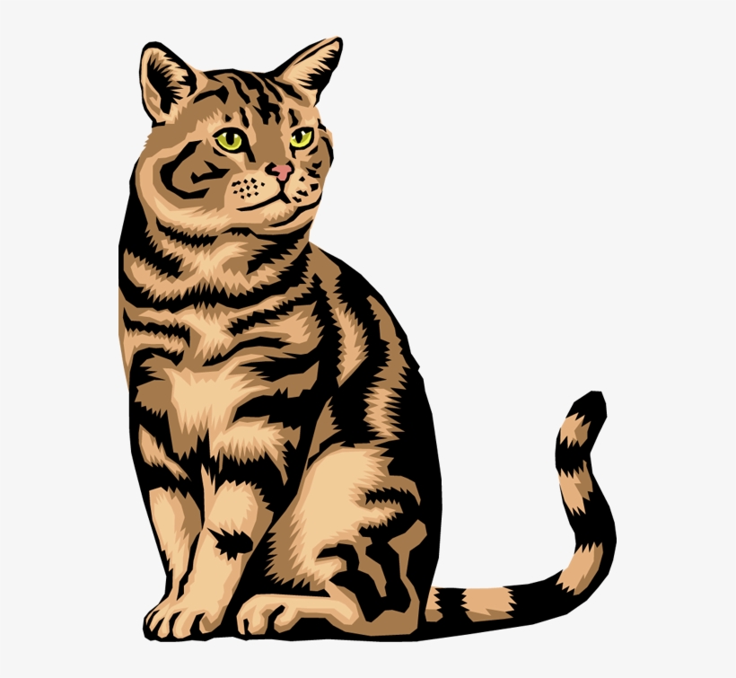 Tabby Cat Clipart Transparent - Animals Do Not Lay Eggs - 555x675 PNG ...