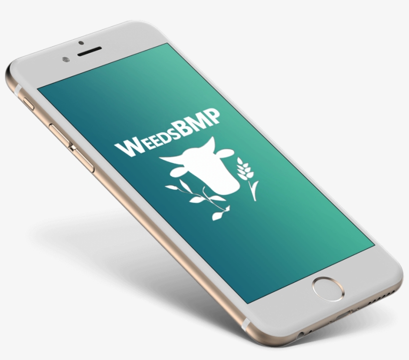 Floating Iphone Png - 920x766 PNG Download - PNGkit