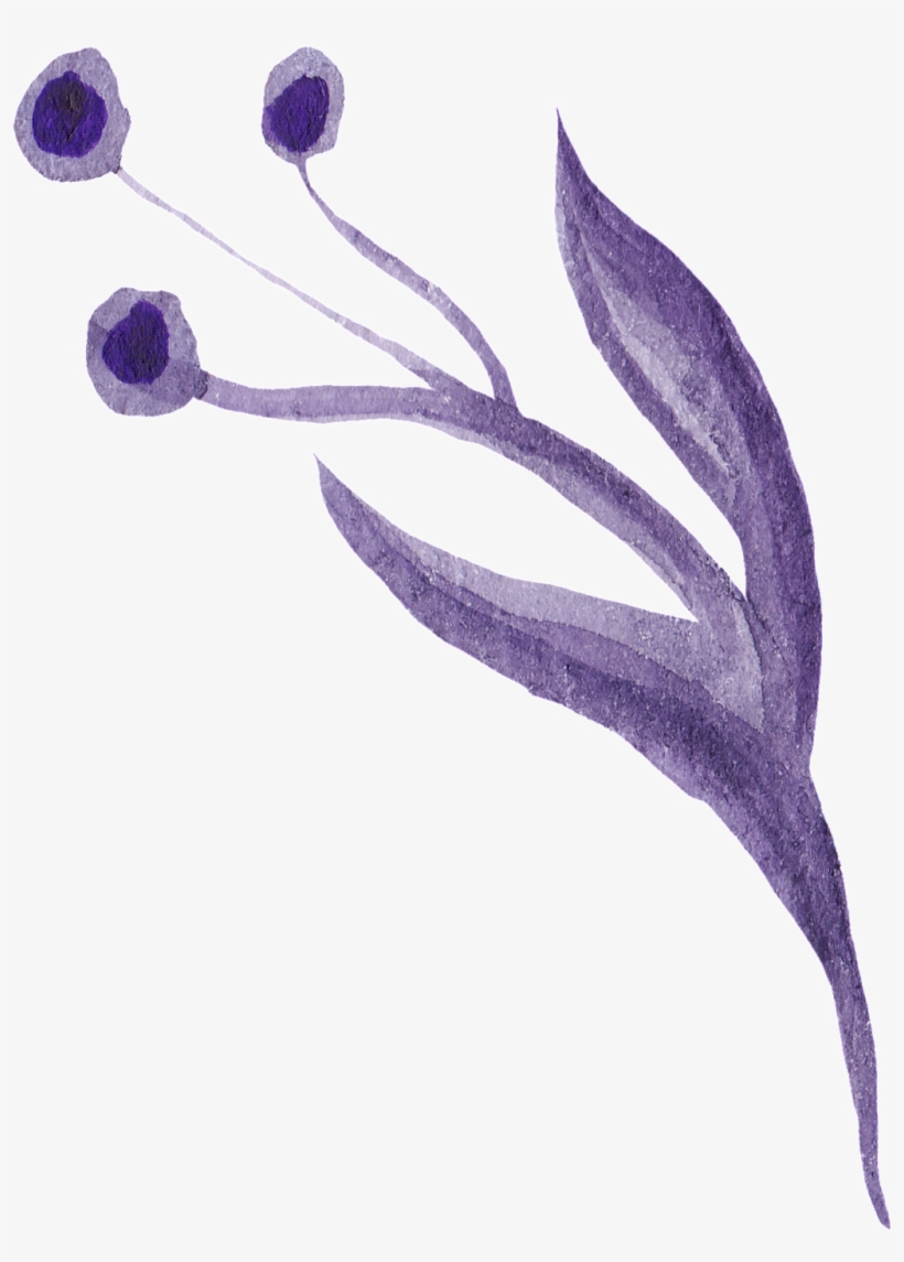 Deep Purple Flower Cartoon Transparent - Purple - 1024x1380 PNG ...